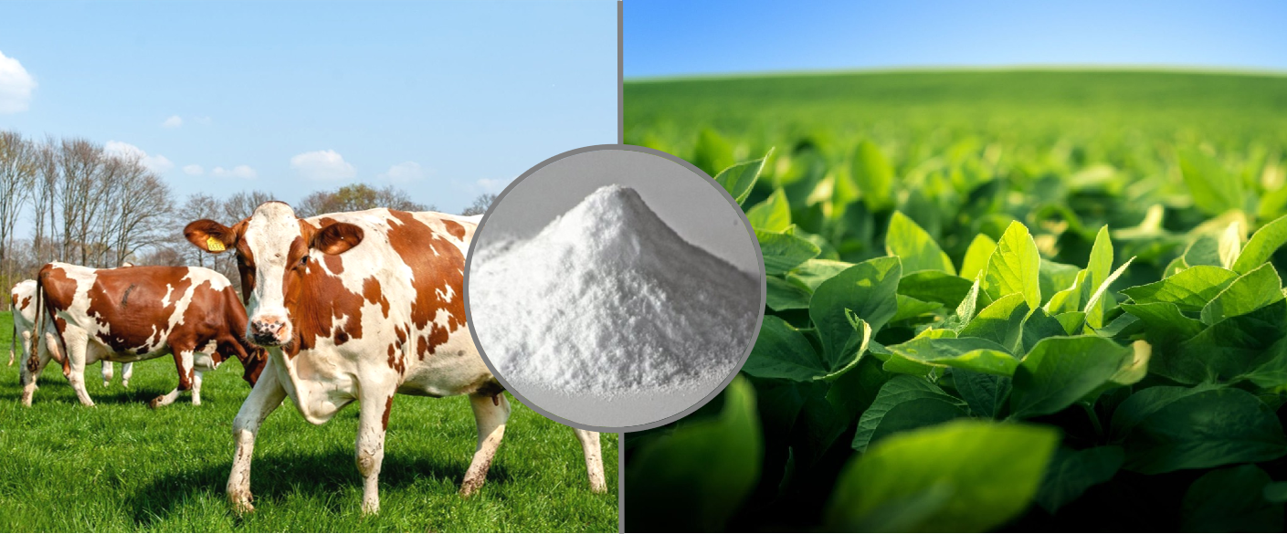 Sodium Bicarbonate: Boost Farm Yield & Animal Health